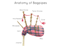 6 Anatomy Prints (Rose, Roe Deer, Bagpipes, Thistle, Heather and ...