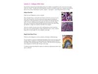 9th-10th grade: Let's Get Creative: Collage Artist Activity Booklet by ...