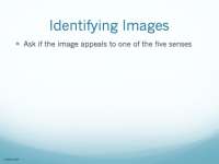 A Crush Text: Full Lesson Plan w/ PowerPoints & Graphic Organizers by ...