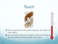 A Crush Text: Full Lesson Plan w/ PowerPoints & Graphic Organizers by ...