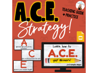 ACE Strategy - Teaching Guide Presentation & Practice by Teach Simple