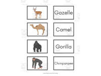 African Animals Game Cards by Teach Simple