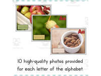 Alphabet Photos | Letter of the Week Unit Companion by Teach Simple