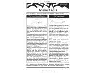 Amazing Survival Stories Book: Reading and Writing Worksheets by Teach ...