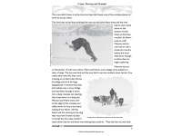 Amazing Survival Stories Book: Reading and Writing Worksheets by Teach ...