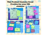 Amerigo Vespucci ESL Spanish English Bingo Game Reading Comprehension ...