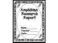 Amphibians | Amphibian Research Report by Teach Simple