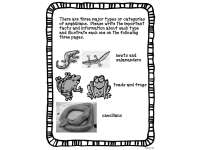 Amphibians | Amphibian Research Report by Teach Simple