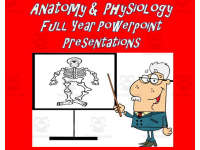 Anatomy and Physiology | PowerPoint Presentations Full Year Package by ...