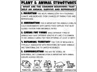 Animal Behaviors Printable by Teach Simple