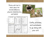 Animal Science Unit: Learning All About a Cheetah by Teach Simple