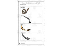 Animal Tails Match-Up Fun Sheets by Teach Simple