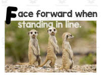 Animal Themed Classroom Rules Posters by Teach Simple