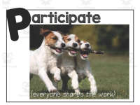 Animal Themed Group Work Posters by Teach Simple