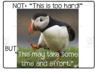 Animal Themed Growth Mindset Posters by Teach Simple