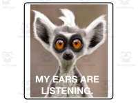 Animal Themed Whole Body Listening Posters by Teach Simple