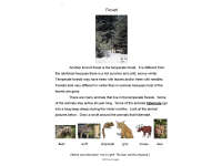 Animals and Their Habitats - Full Day Substitute Plans by Teach Simple