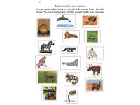 Animals and Their Habitats - Full Day Substitute Plans by Teach Simple