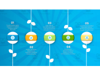 AP Spanish – Día de la Independencia de Honduras. (Práctica Integral ...