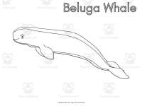 Arctic & Antarctic Animals Coloring Pages by Teach Simple