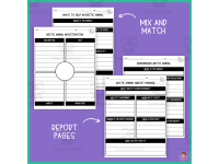 Arctic Animals Opinion Writing Step-by-Step (Winter Would You Rather ...