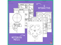 Arctic Fox Unit Study (Arctic Animals Lesson Plan, Videos, Activities ...