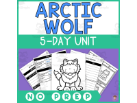 Arctic Wolf Unit Study (Arctic Animals Lesson Plan, Videos, Activities ...