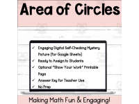 Area of Circles Digital Self-Checking Activity by Teach Simple