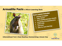 Armadillo Facts | Interactive Science Lesson | Micro-Learning Deck by ...