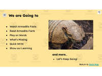 Armadillo Facts | Interactive Science Lesson | Micro-Learning Deck by ...