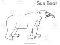 Asian Animals Coloring Pages by Teach Simple