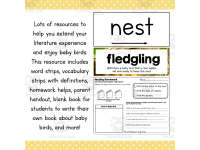 "Baby Birds" | Nonfiction Early Reader by Teach Simple