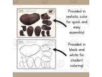 Bear | Jointed Paper Craft | Articulated Animal Art Project | Cub by ...