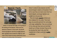 Beaver Facts | Interactive Science Lesson | Micro-Learning Deck by ...