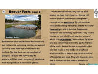 Beaver Facts | Interactive Science Lesson | Micro-Learning Deck by ...