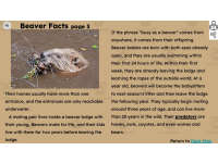 Beaver Facts | Interactive Science Lesson | Micro-Learning Deck by ...