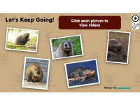 Beaver Facts | Interactive Science Lesson | Micro-Learning Deck by ...