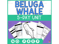 Beluga Whale Unit Study (Arctic Animals Lesson Plan, Videos, Activities ...