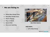 Blue Whale Facts | Interactive Science Lesson | Micro-Learning Deck by ...