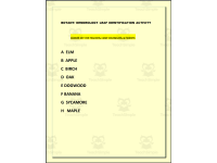 Botany / Dendrology Leaf Identification Activity by Teach Simple