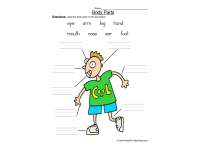 Boy Body Parts Worksheet by Teach Simple