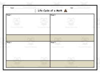 Butterfly and Moth Life Cycle Worksheet by Teach Simple