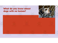 Can I Be Your Dog? | Book Companion Activities | Digital Book Study by ...