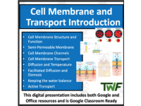 Cell Membrane and Transport - Introductory PowerPoint Lesson & Notes by ...
