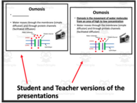 Cell Membrane and Transport - Middle School Lesson & Notes by Teach Simple
