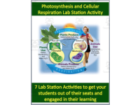 Cellular Respiration and Photosynthesis – Lab Station Activity by Teach ...