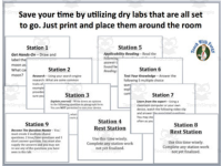 Cellular Respiration and Photosynthesis – Lab Station Activity by Teach ...