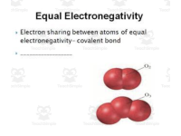 Chemistry Review for Senior Biology - Lesson Bundle by Teach Simple