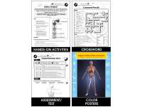 Circulatory, Digestive & Reproductive Systems: Skin, Liver & Lungs Gr ...