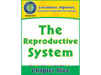 Circulatory, Digestive & Reproductive Systems: The Reproductive System ...